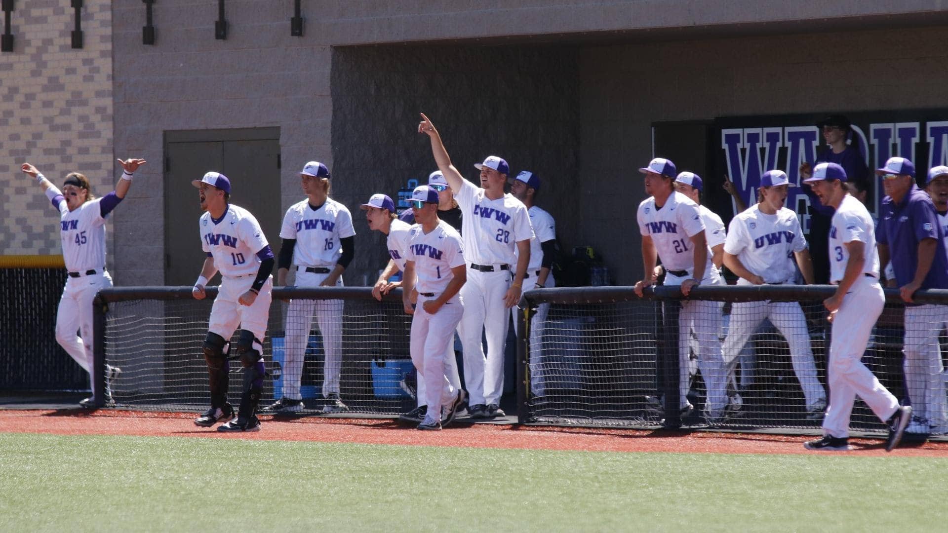 UWW Baseball Super Regional Recap: Warhawks Advance to NCAA DIII World ...