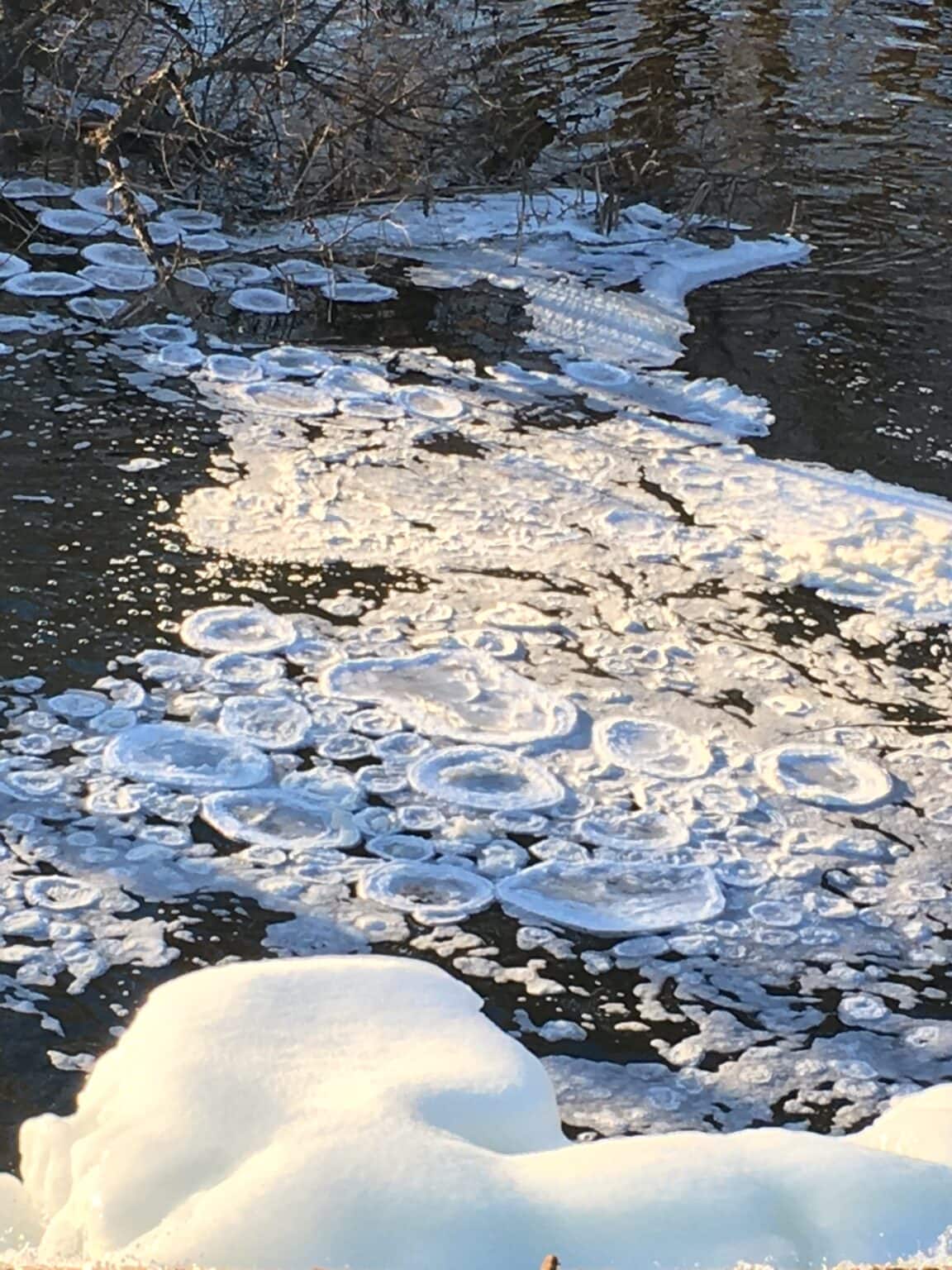 Our Readers Share: Dawn Hunter - Ice Discs or Ice Pancakes - Whitewater ...